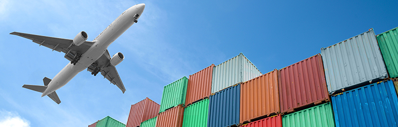 International Moving Dubai | International Movers Dubai| Best ...
